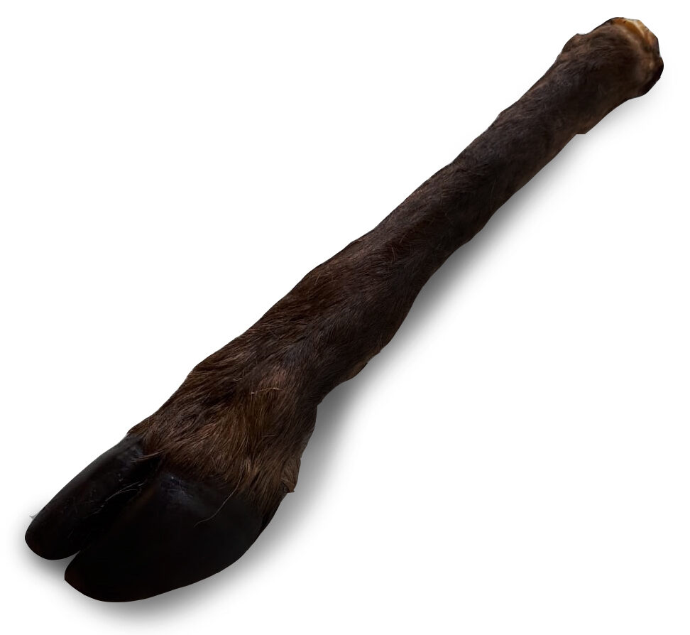 Natuurlijke snacks en kauwmateriaal voor honden